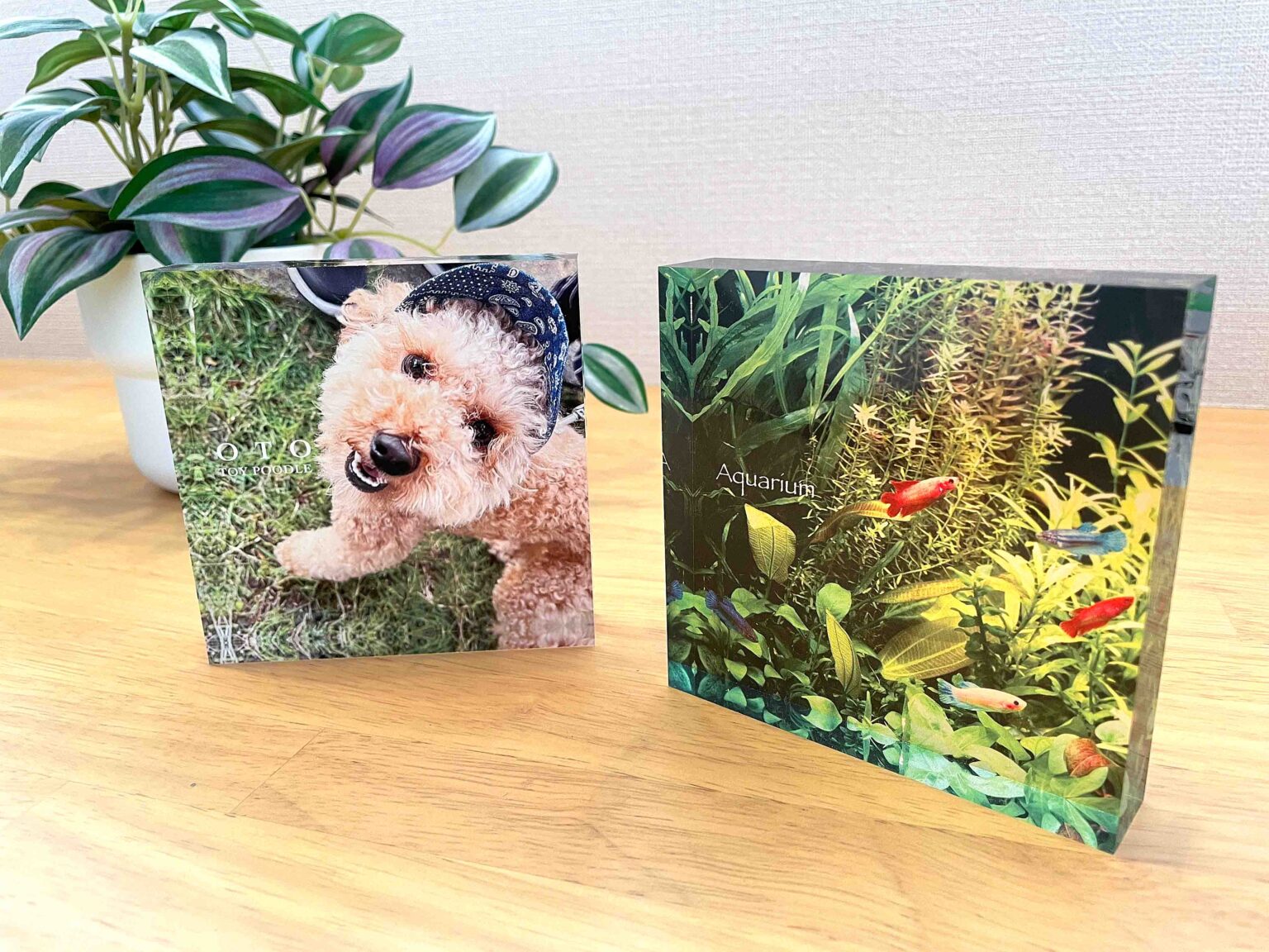 商品一覧 | 株式会社ジーピーセンター